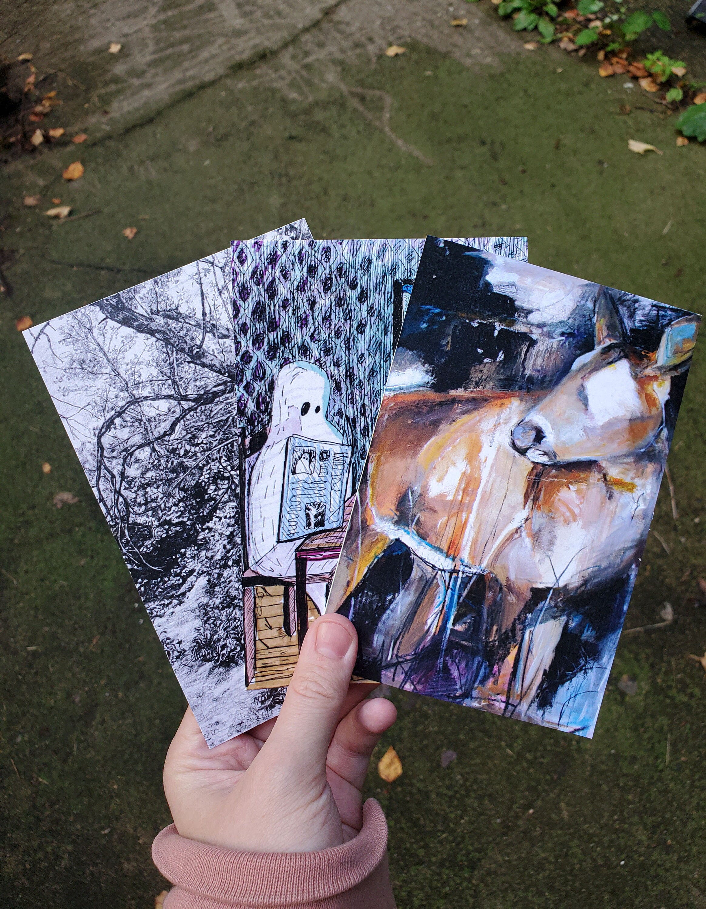 Shop All — Raspberry Toodle