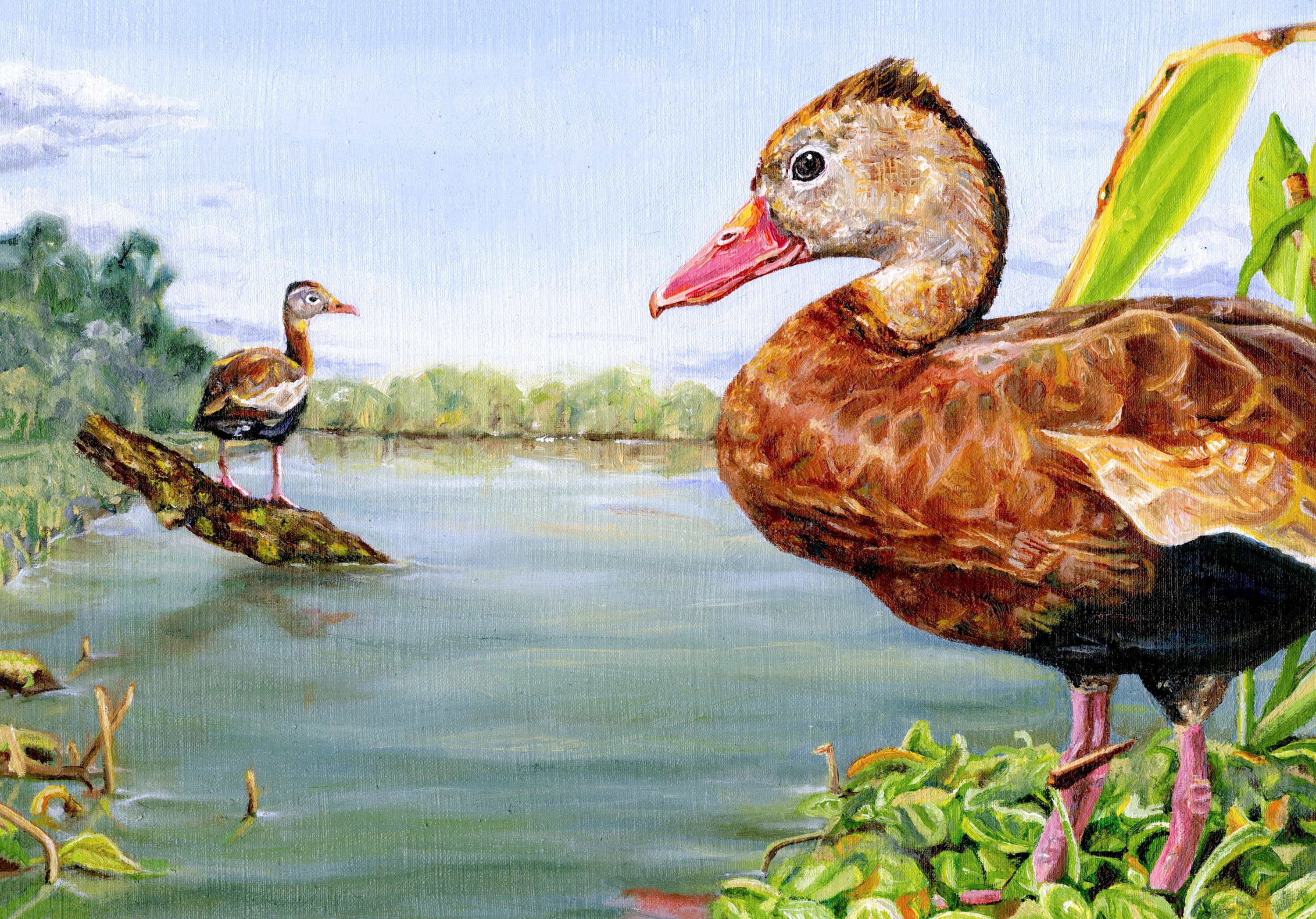 Duck Stamp Prints for sale | Only 2 left at -75%
