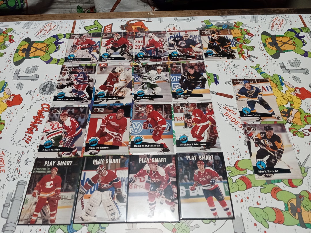 1991-92 Pro Set Series 2 Hockey Cards. Lot of 19. #599-615, CC7, CC8. - Etsy