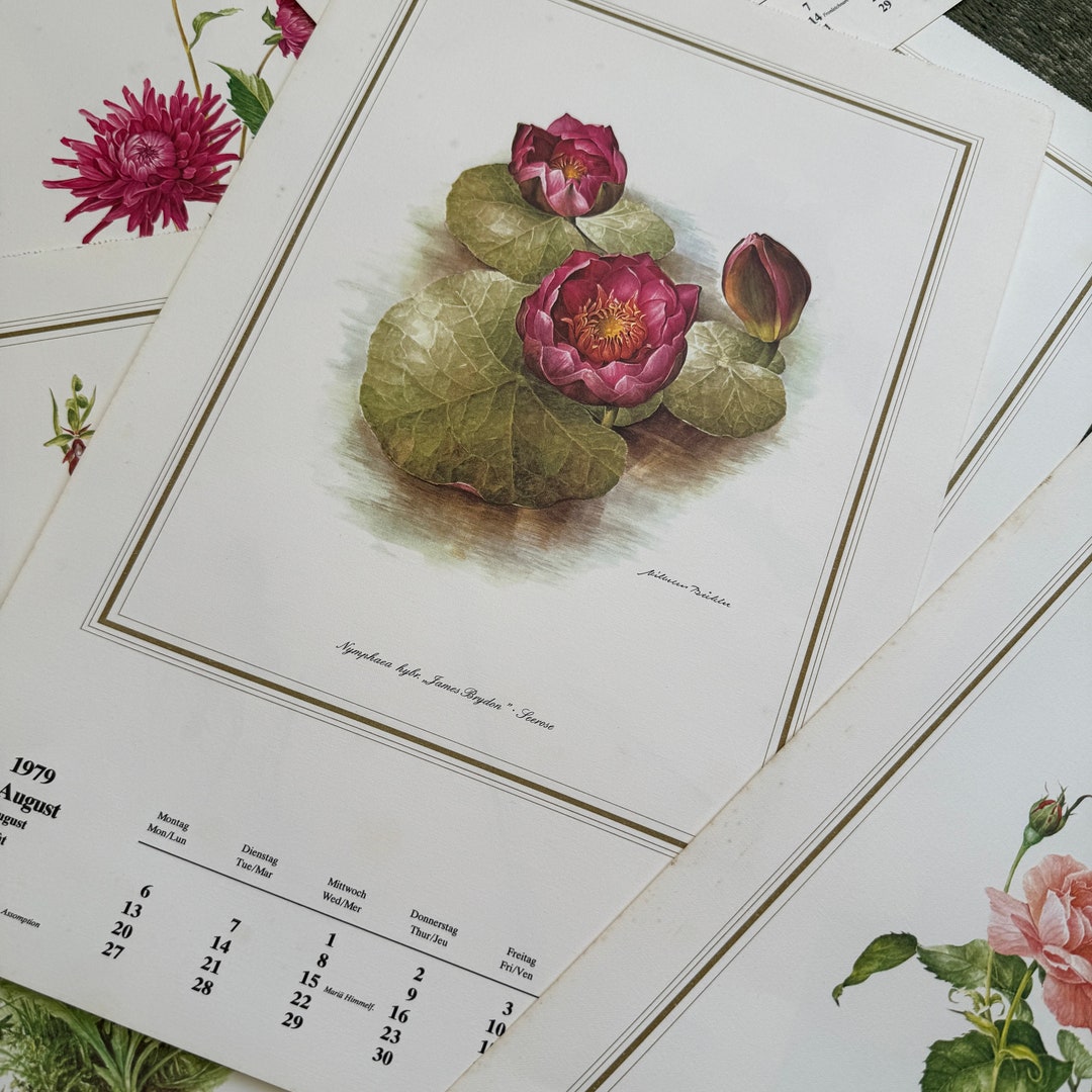 Vintage Floral Prints Old 70s Calendar Ten Botanicals Refn - Etsy