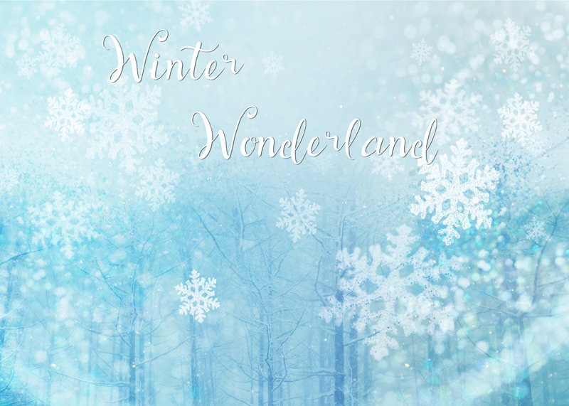 Winter Wonderland Photography Backdrop Snow Scenery Photo | Etsy