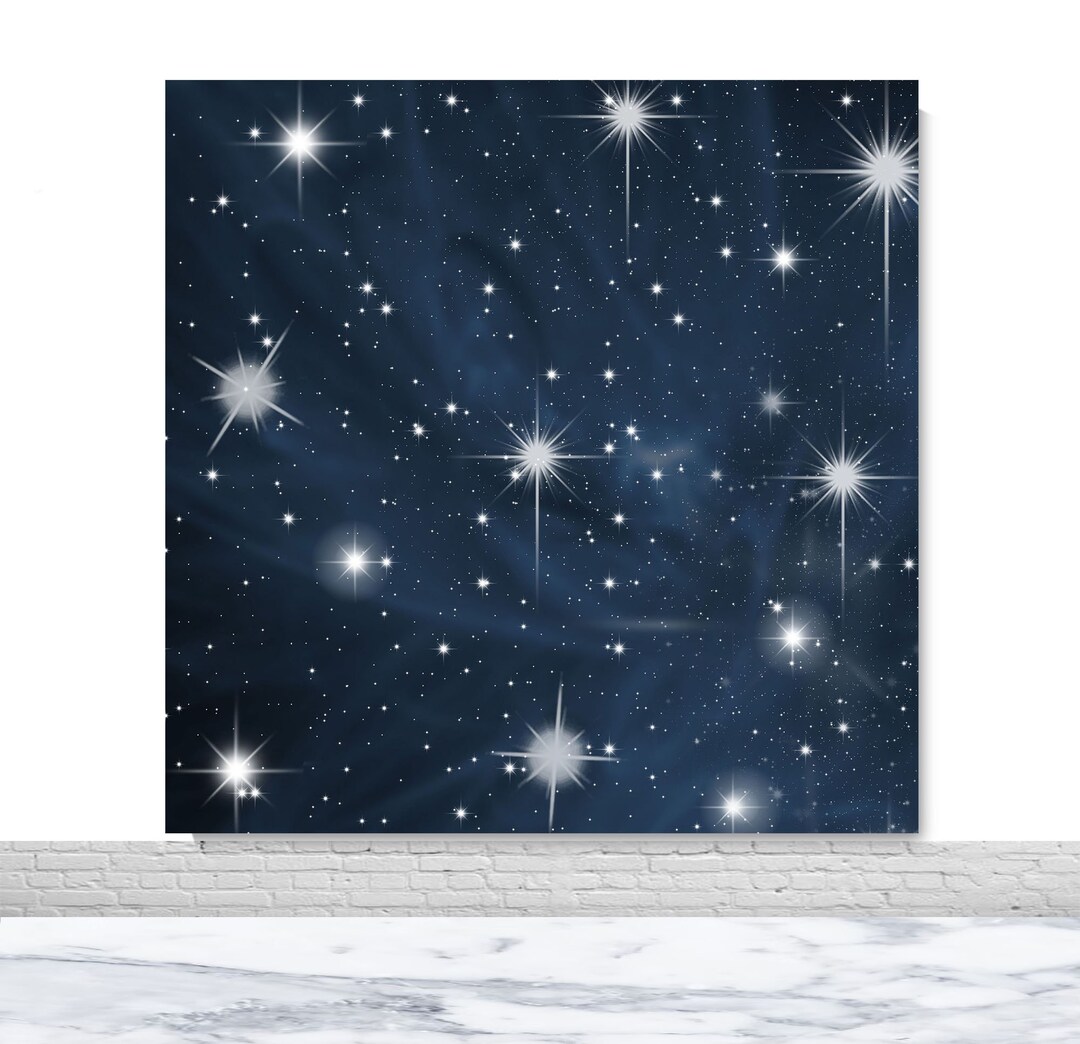 Early 2000s Photography Backdrop Birthday Party Photo Backdrop Twinkle ...