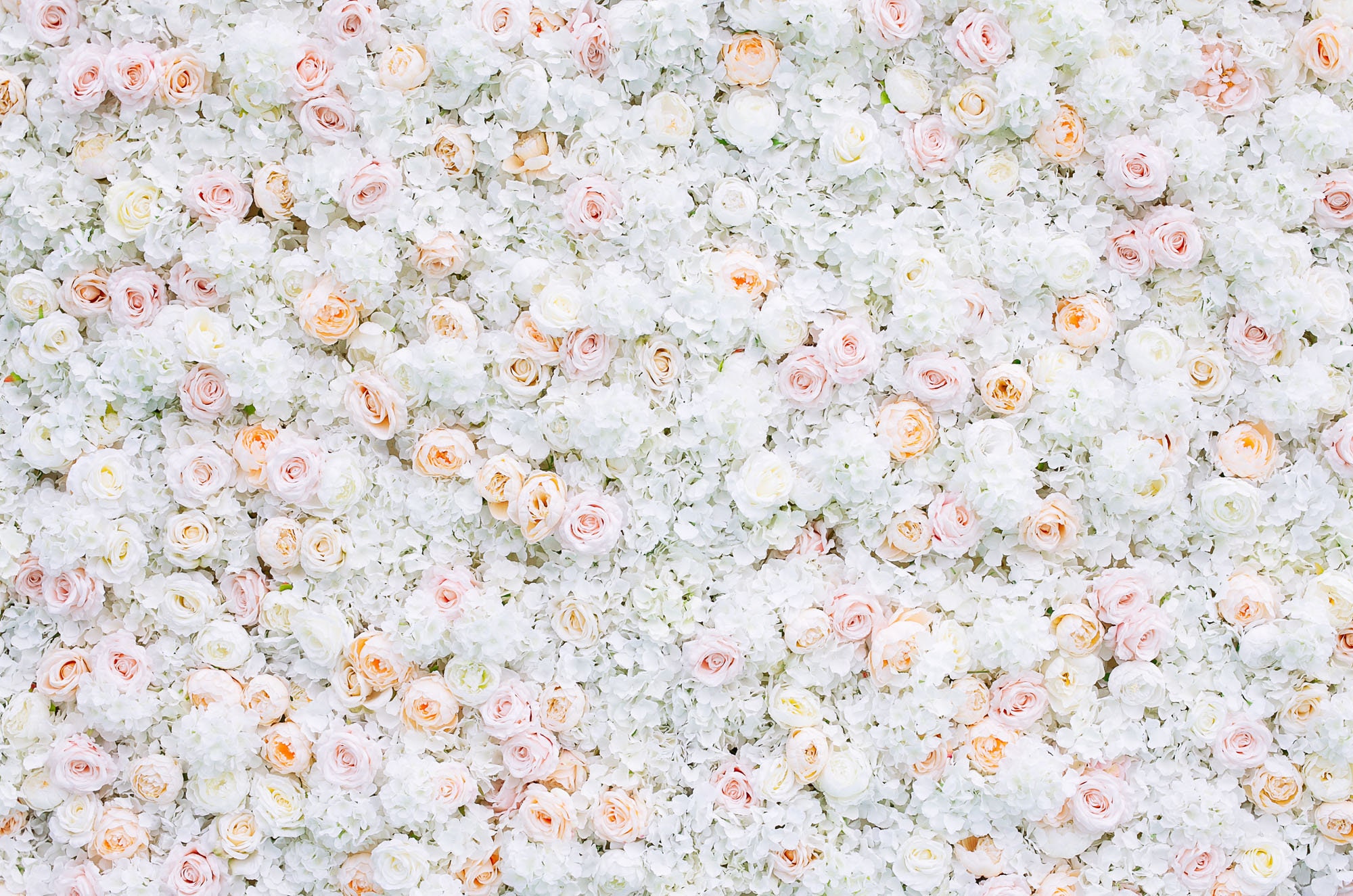 White Rose Floral Photo Backdrop Wedding Bridal Shower - Etsy