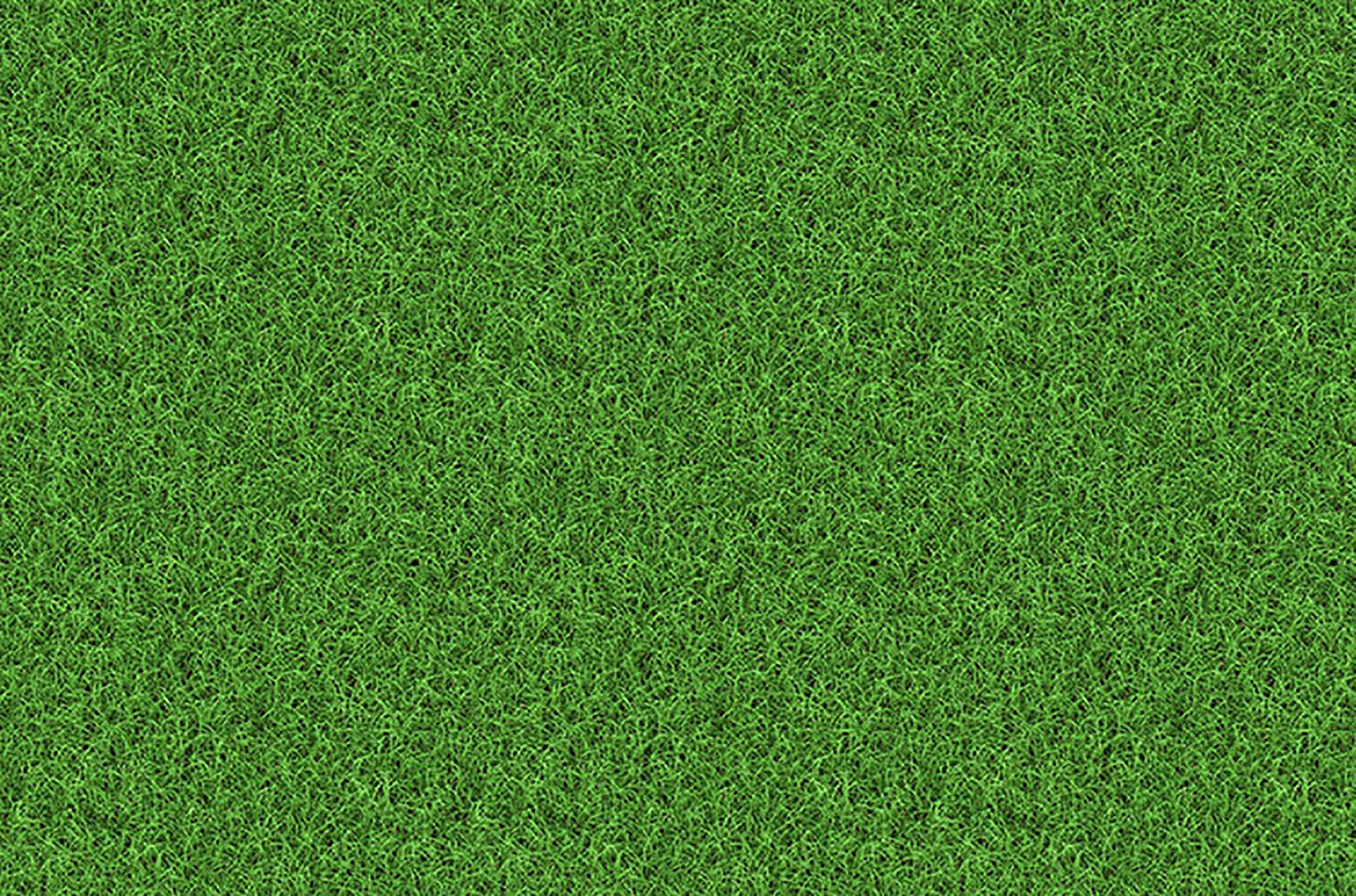 Grass Wall Photography Backdrop Wedding Bridal Shower Birthday - Etsy