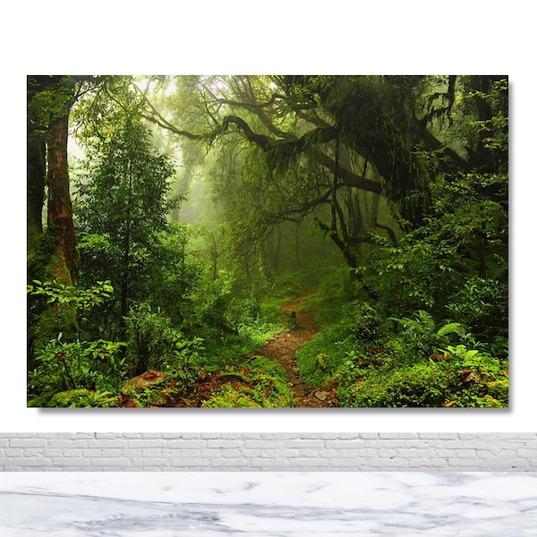 Forest Backdrop - Etsy