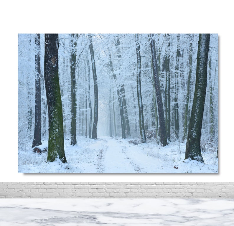 Winter Landscape Photography Backdrop Footpath Tree Forest | Etsy