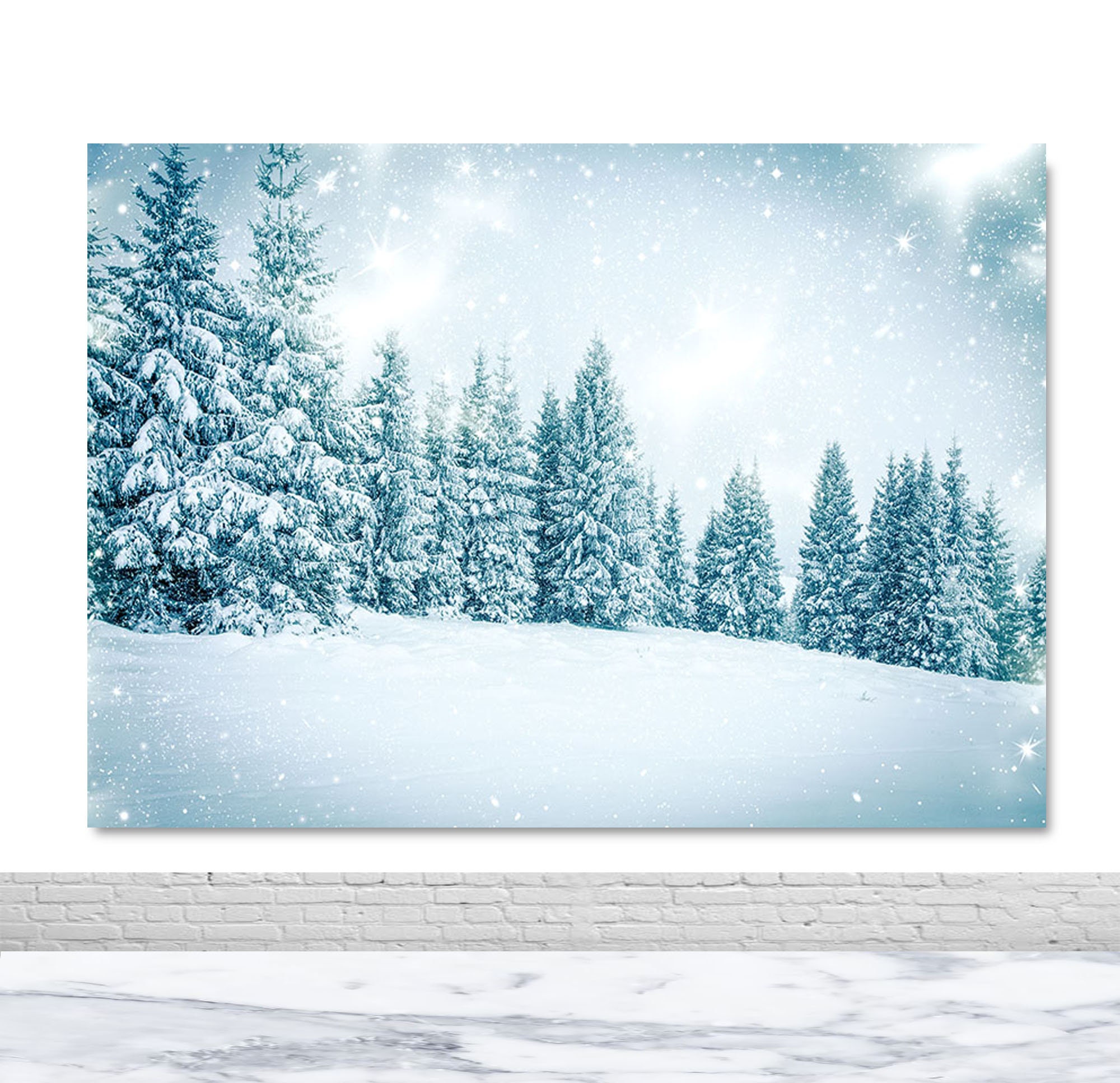 Winter Scenery Photography Backdrop - Etsy