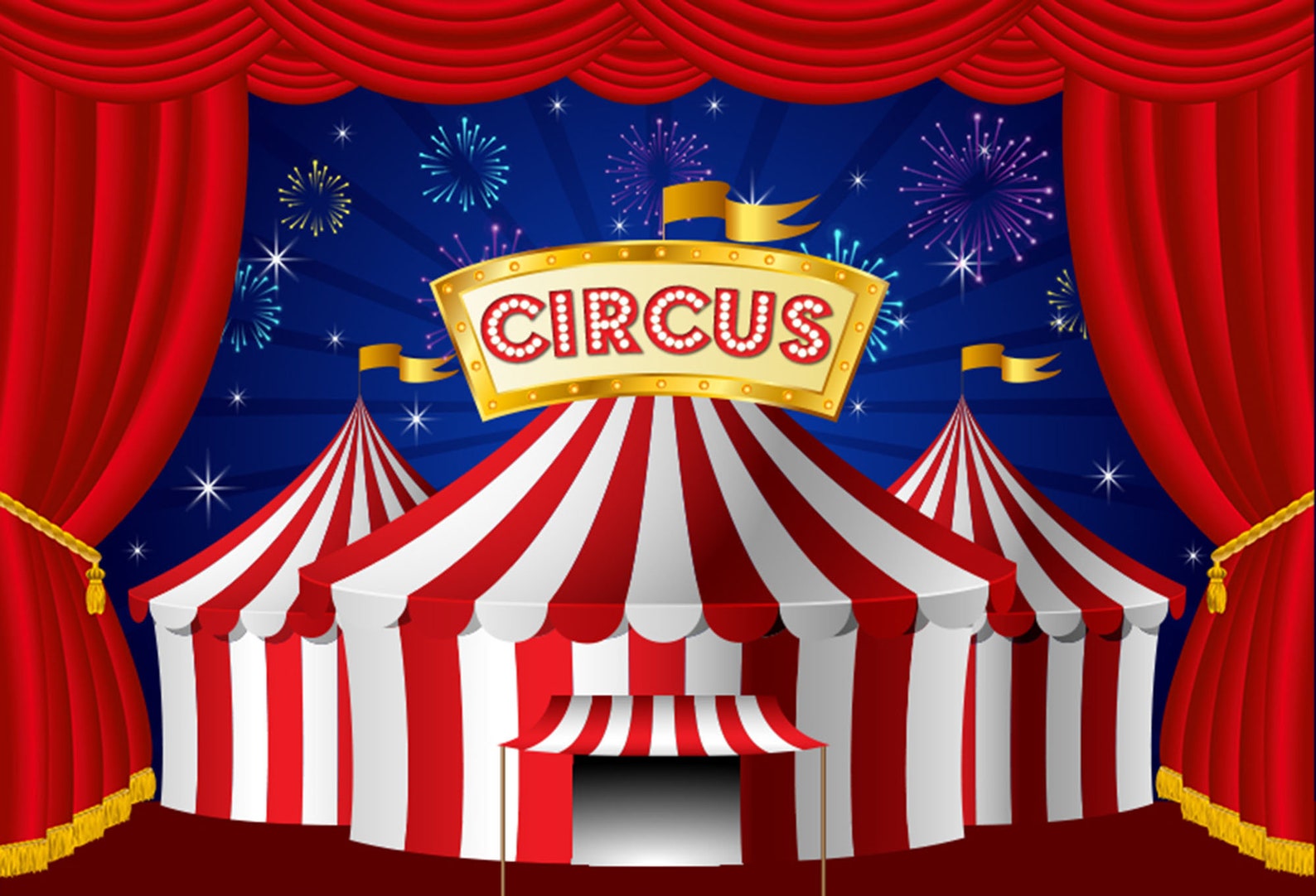 Carnival Circus Photographie Toile toile de fond Enfants 1er | Etsy