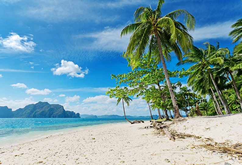 Tropical Backgrounds Summer Sea Beach Photo Backdrop Sand Cloudy Blue ...