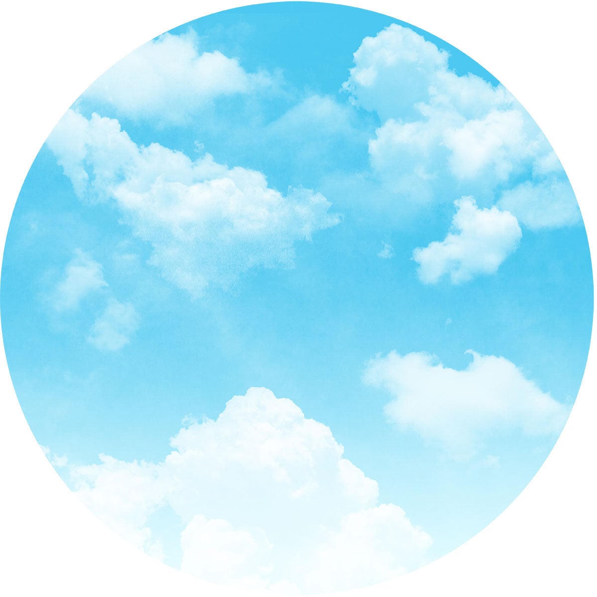 Round Blue Sky Clouds Photography Backdrop Birthday Wedding | Etsy