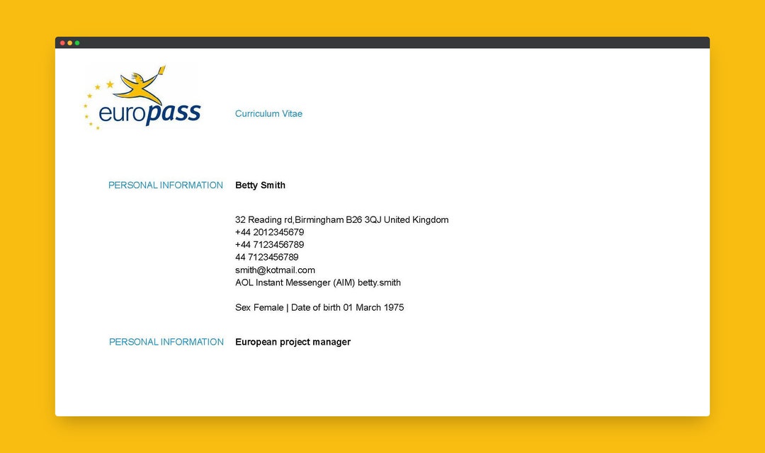 Europass 2.0 - Easy to Edit CV Template - Etsy