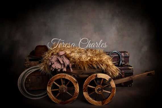 Country Western Newborn Digital Backdrop Background Wagon | Etsy