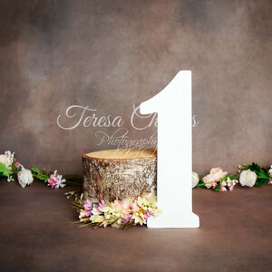 First 1st One Year Birthday Digital Backdrop Background With | Etsy