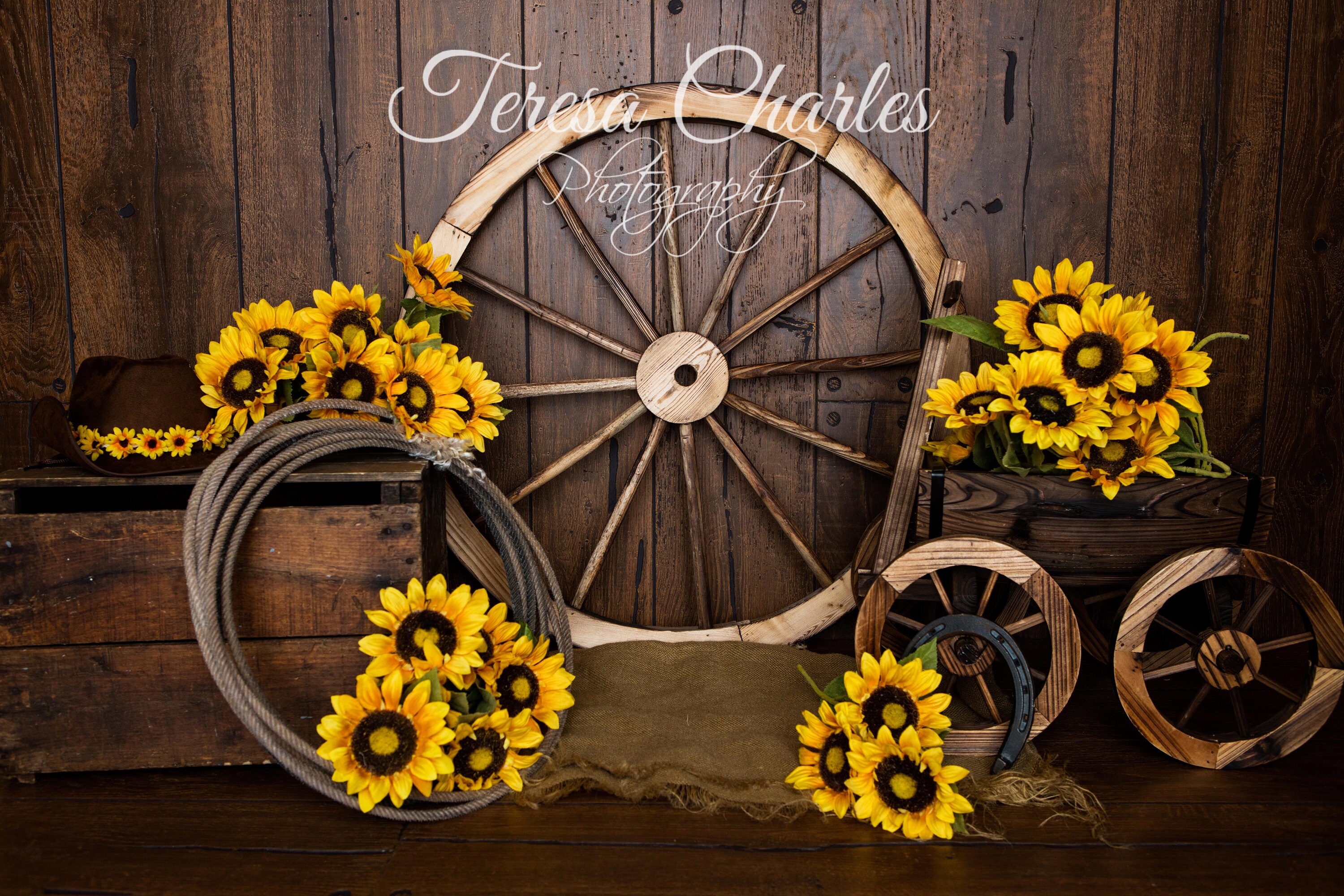 Country Western Digital Instant Download Image Digital Backdrop ...
