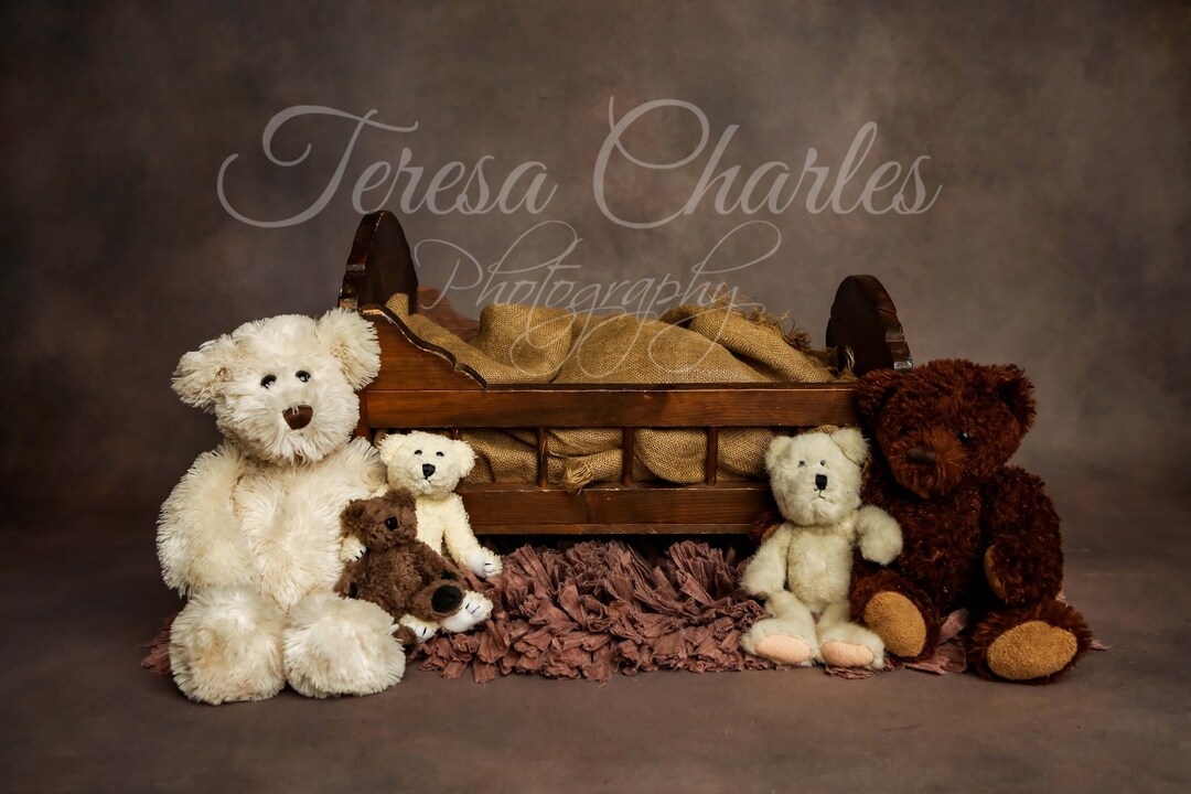 Teddy Bear Cradle Newborn Baby Child Digital Backdrop Background ...