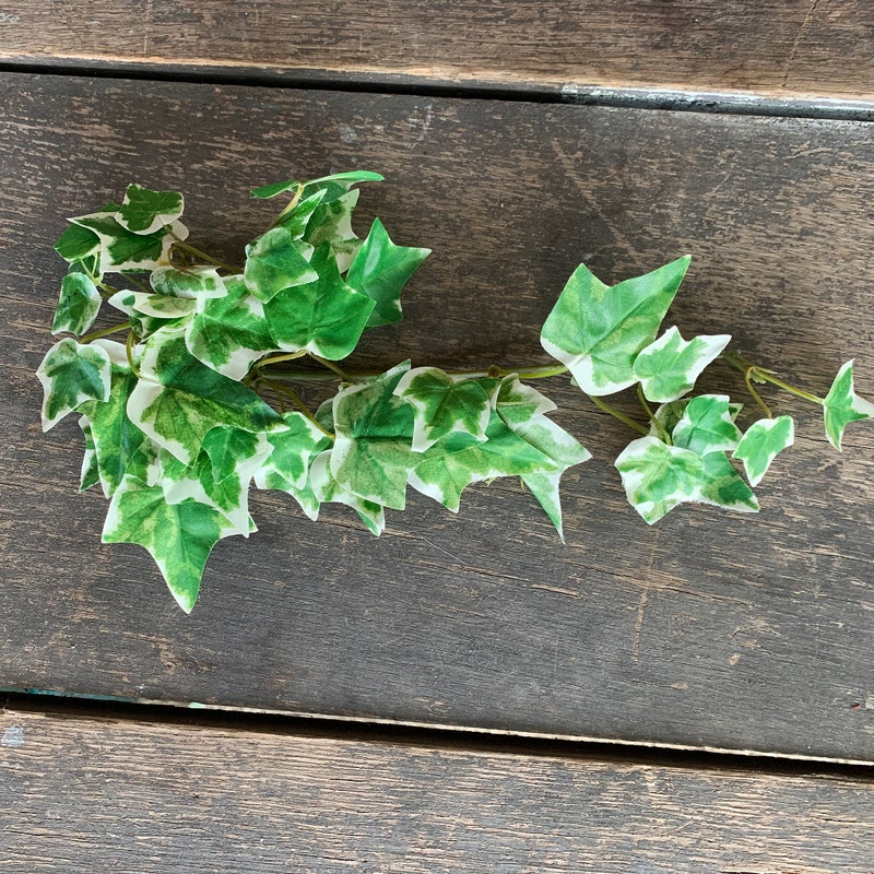 Artificial Silk Ivy - Etsy