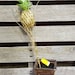 Large Glitter Pineapple Stems- Holiday Floral Decor - Etsy