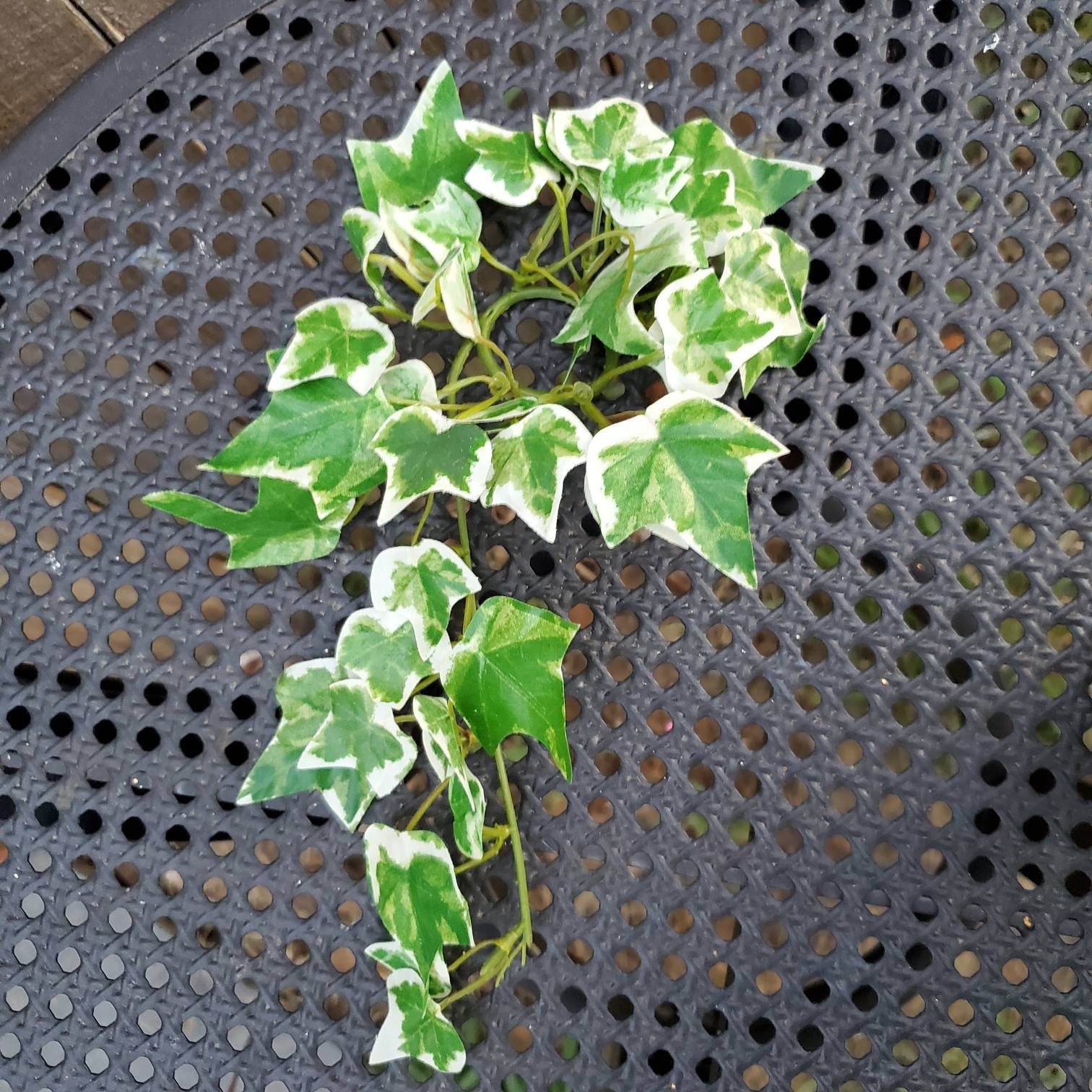 6 Pcs 9 Needlepoint Ivy X42 Artificial Fake Silk | Etsy