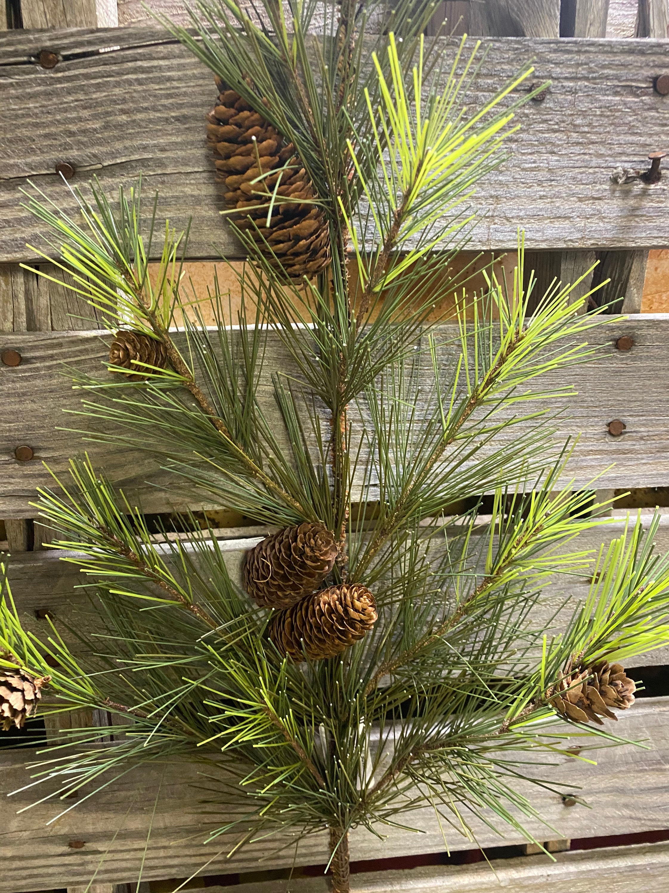 Pine With 10 Tips, Vase Filler - Etsy