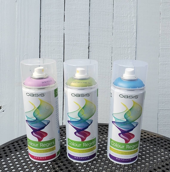 Oasis Colour Regen Spray Paint 12 Oz Can Floral Paint - Etsy