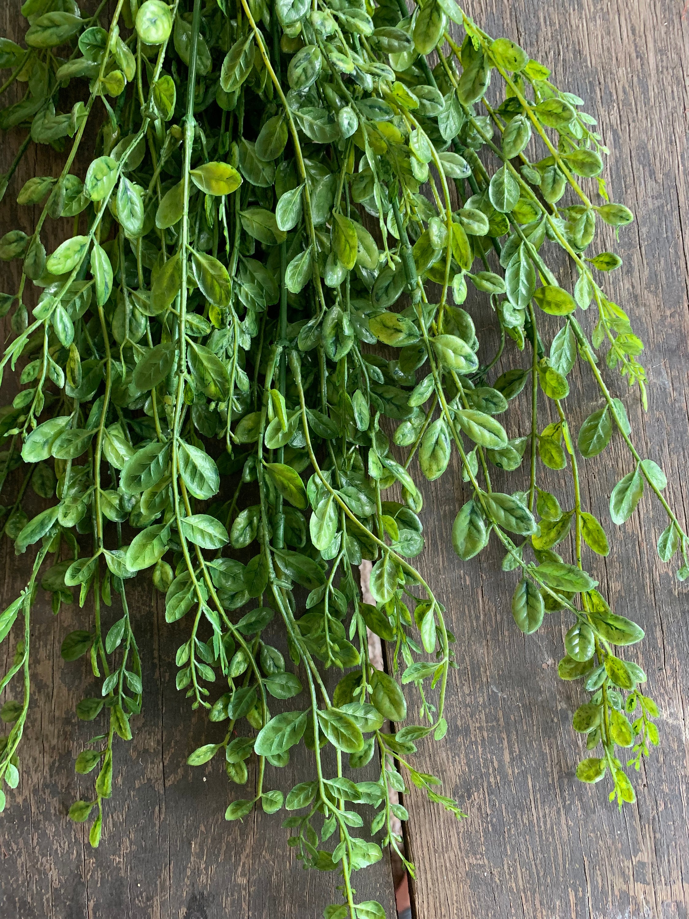 23 Plastic Boxwood Bush X7 Light Green Dark Green | Etsy