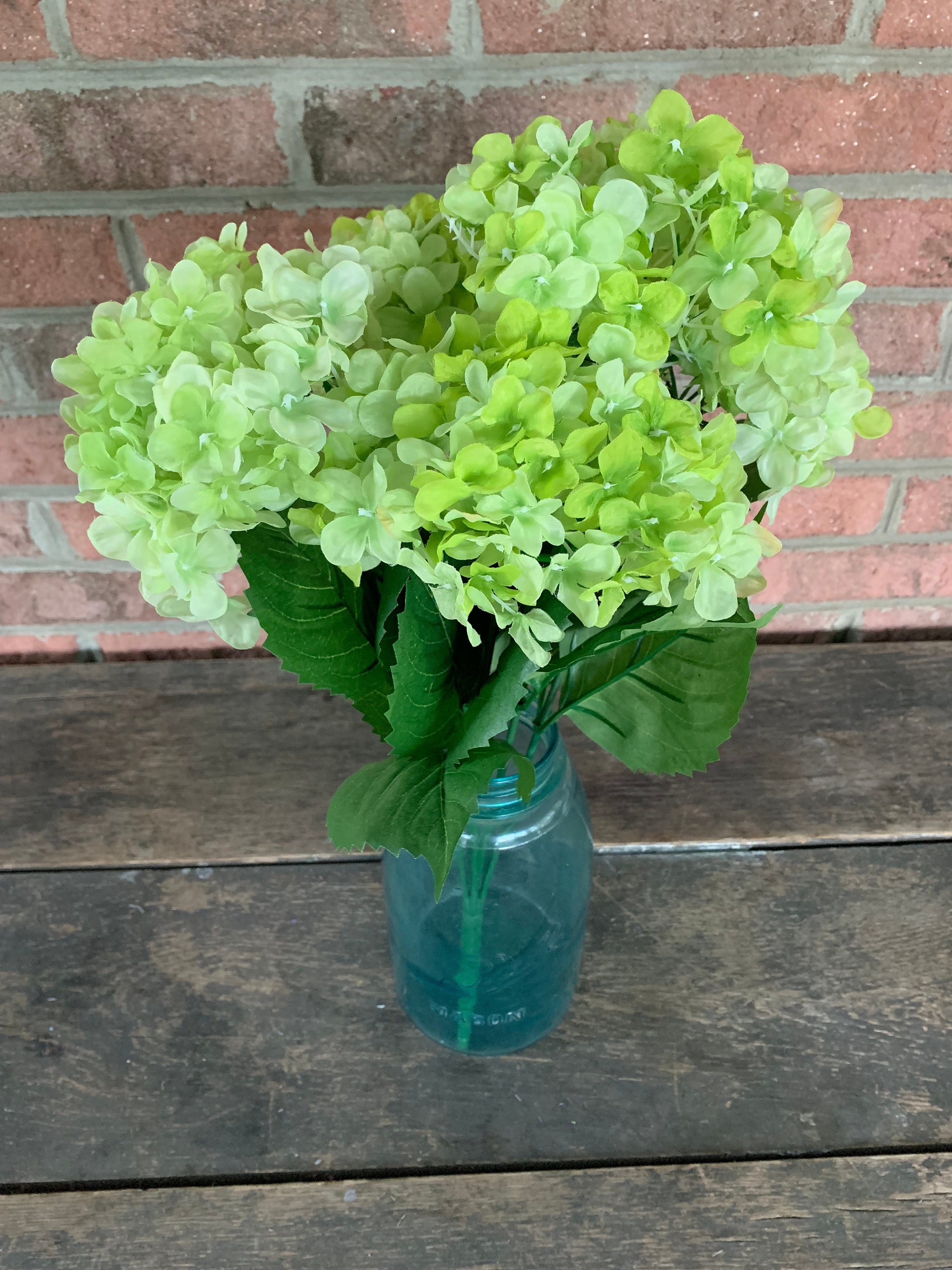 19 High Quality Hydrangea Bush X5 Light Green - Etsy