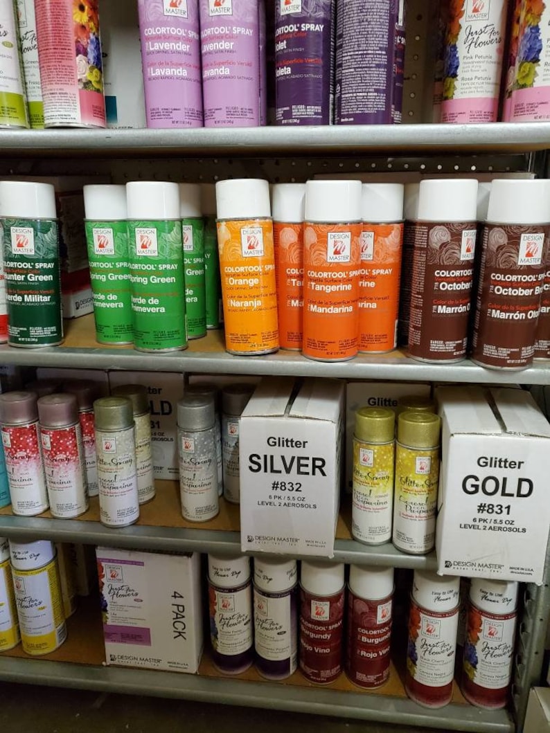 Design Master Spray Paint 12 Oz Can Made in the USA Floral - Etsy