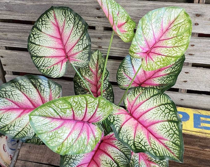 26" Artificial Caladium Bush - Trending Greenery Fake Stem Leaf Leaves ...