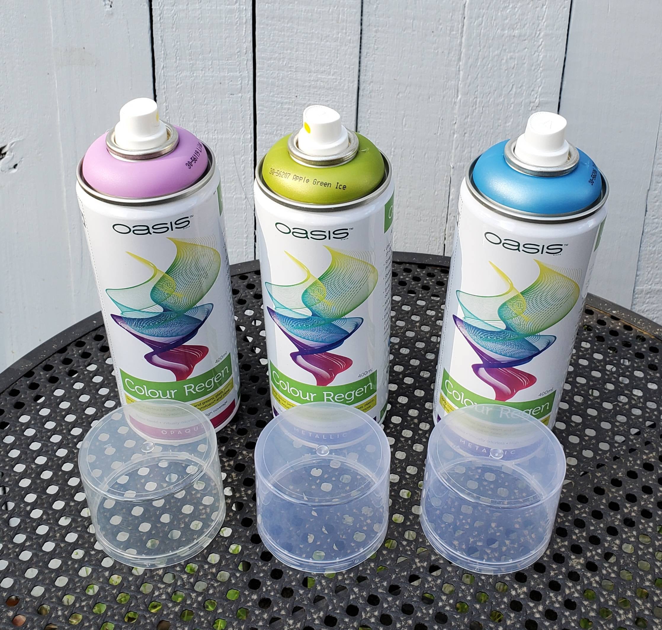 Oasis Colour Regen Spray Paint 12 Oz Can~ Floral Paint Supplies - Etsy