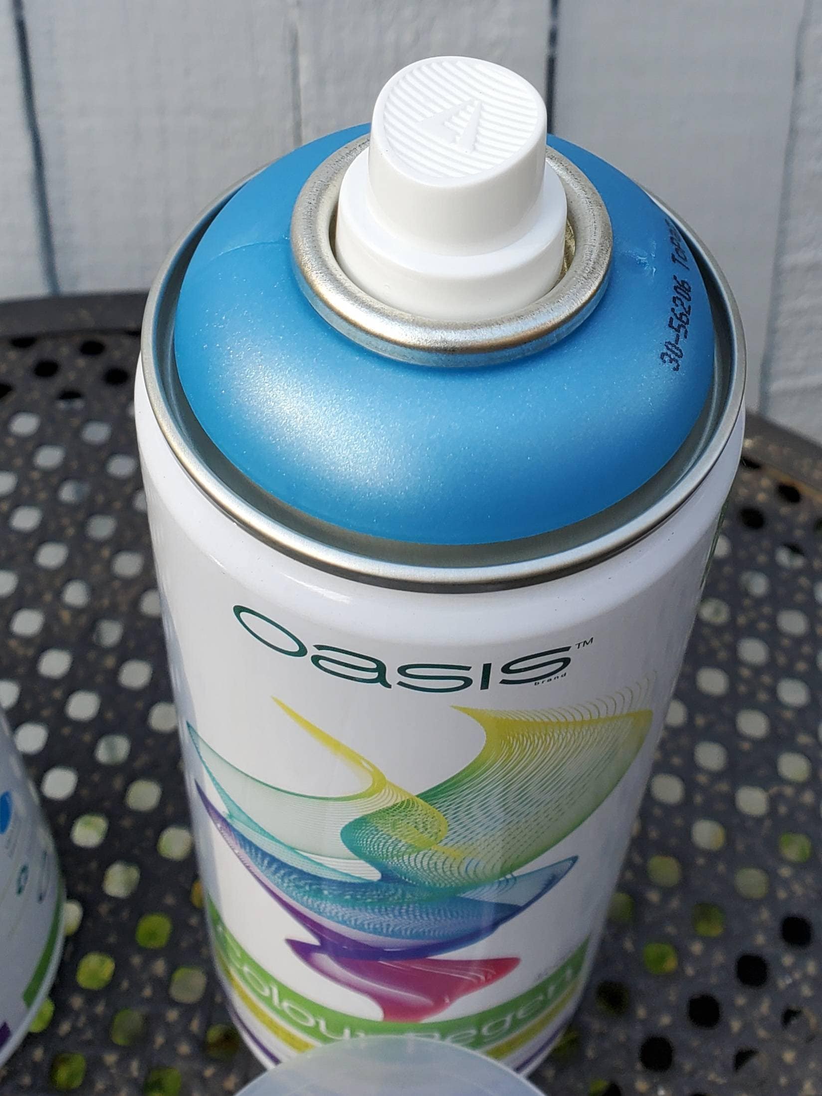 Oasis Colour Regen Spray Paint 12 Oz Can Floral Paint - Etsy