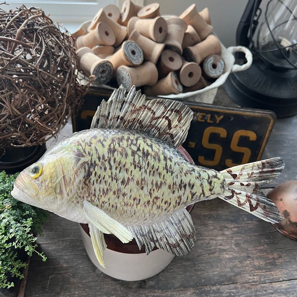 Floral Fishing Decor - Etsy