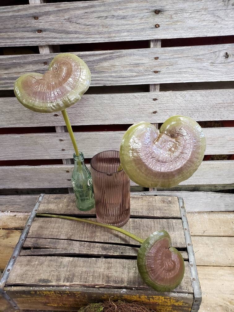 Plastic Artificial Mushroom Set of 3 ~ Natural Mushroom Decor - Etsy