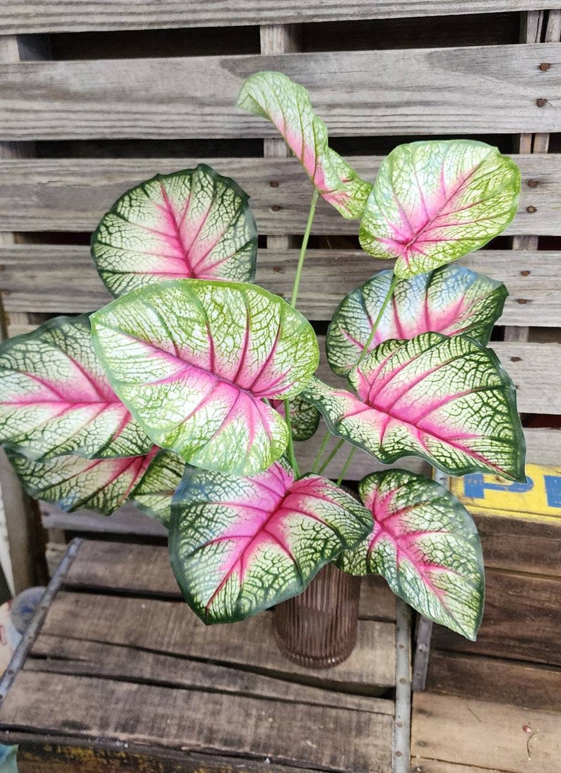 26" Artificial Caladium Bush - Trending Greenery Fake Stem Leaf Leaves ...