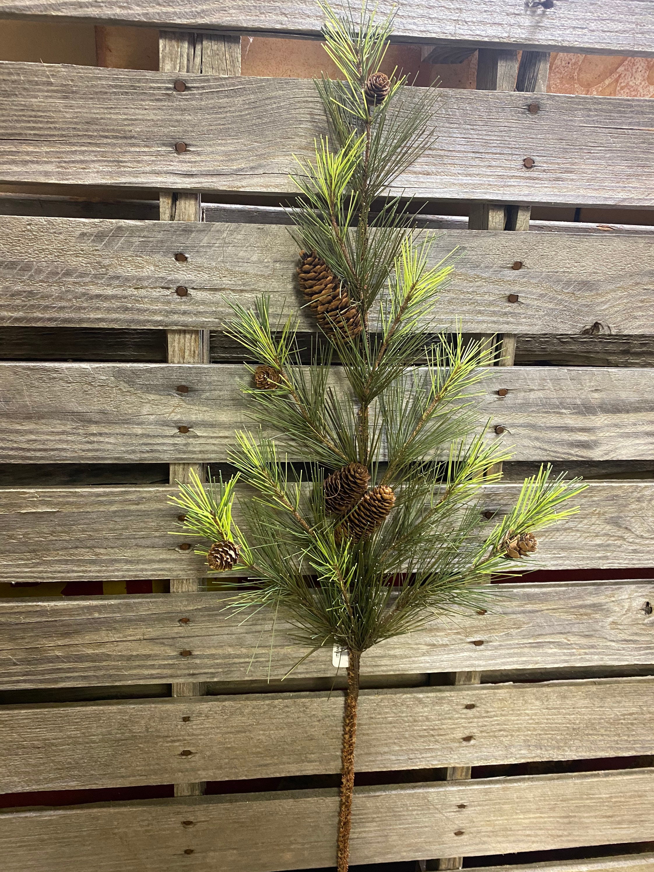 Pine With 10 Tips, Vase Filler - Etsy