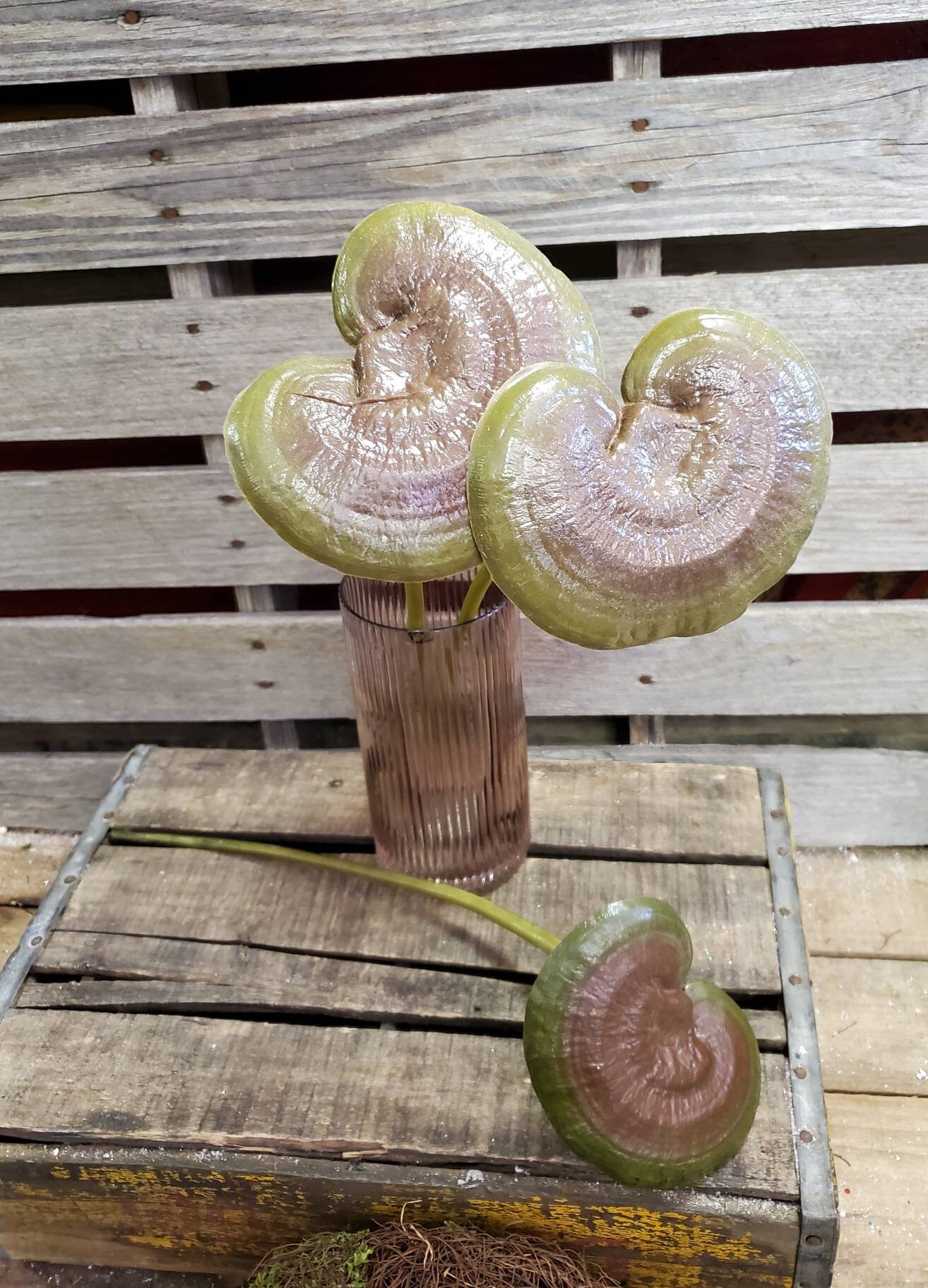 Plastic Artificial Mushroom Set of 3 ~ Natural Mushroom Decor - Etsy
