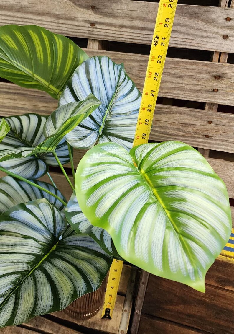 26" Artificial Calathea, Caladium, Monstera, and Elephant Ear Bushes ...