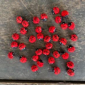 36 Pcs - Mini Artificial Ladybugs - Fake Colored Floral Arrangement ...
