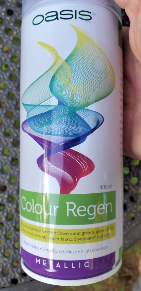 Oasis Colour Regen Spray Paint 12 Oz Can~ Floral Paint Supplies - Etsy