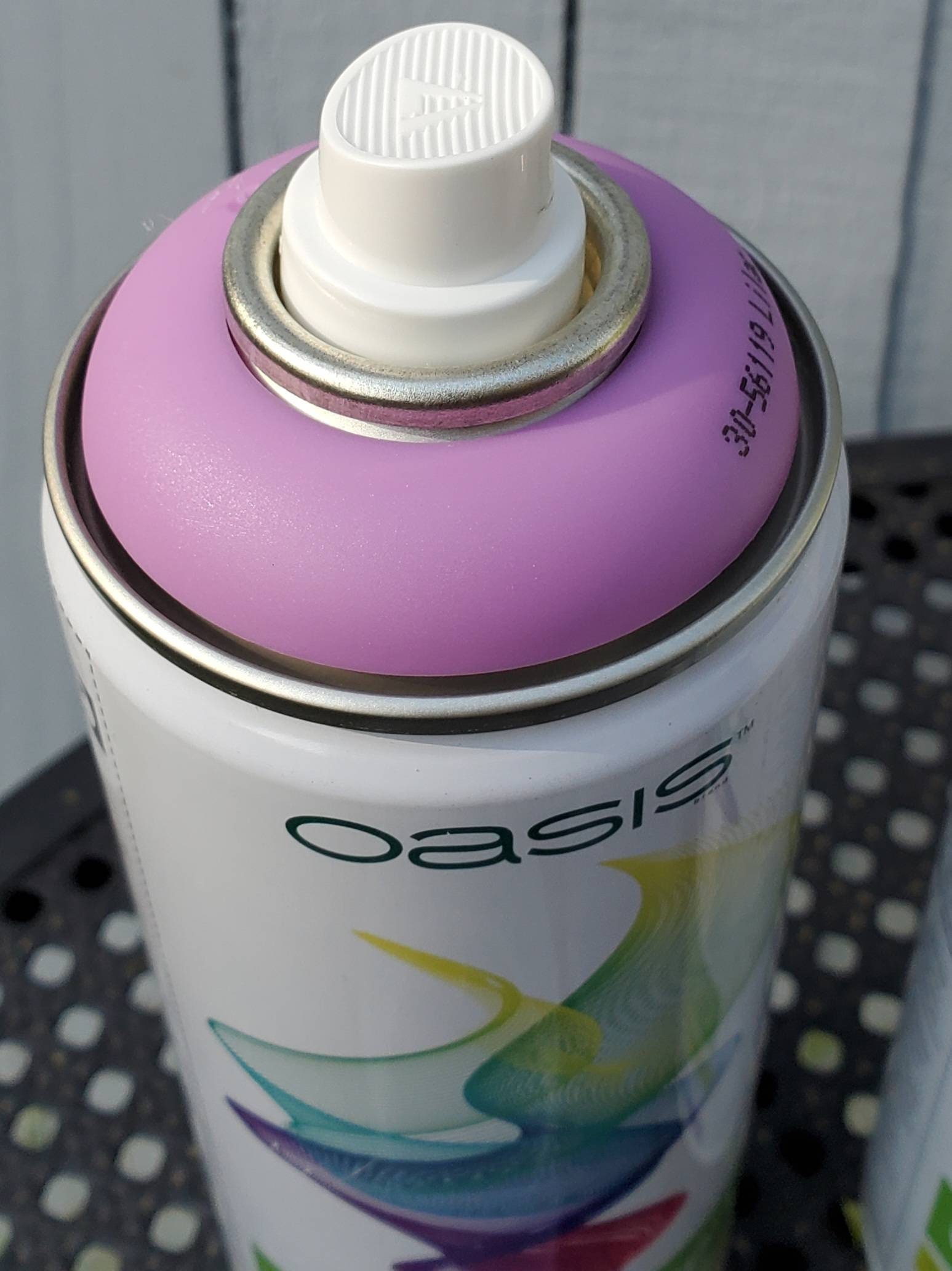 Oasis Colour Regen Spray Paint 12 Oz Can~ Floral Paint Supplies - Etsy