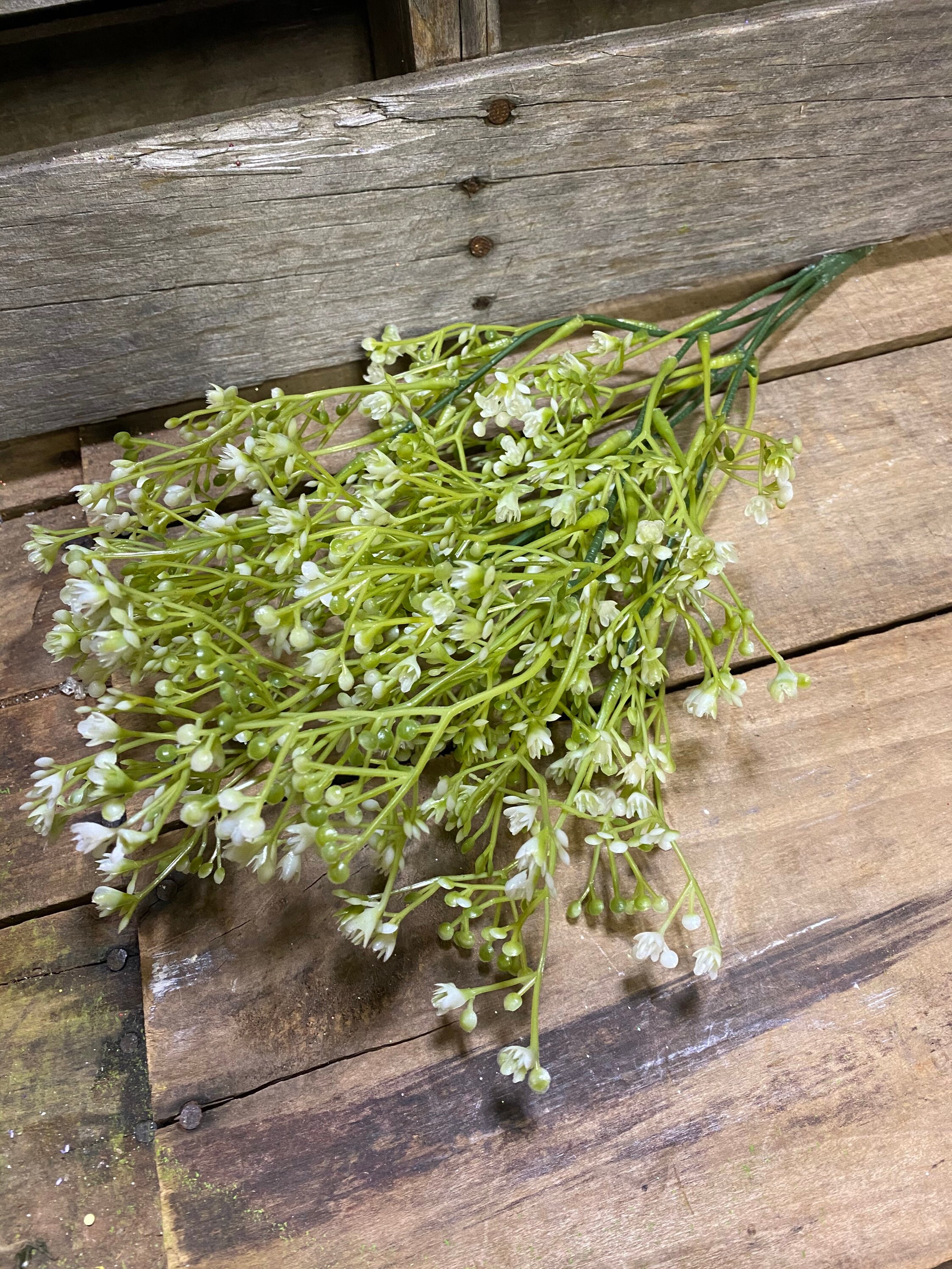 Gyp Bush in White - Etsy