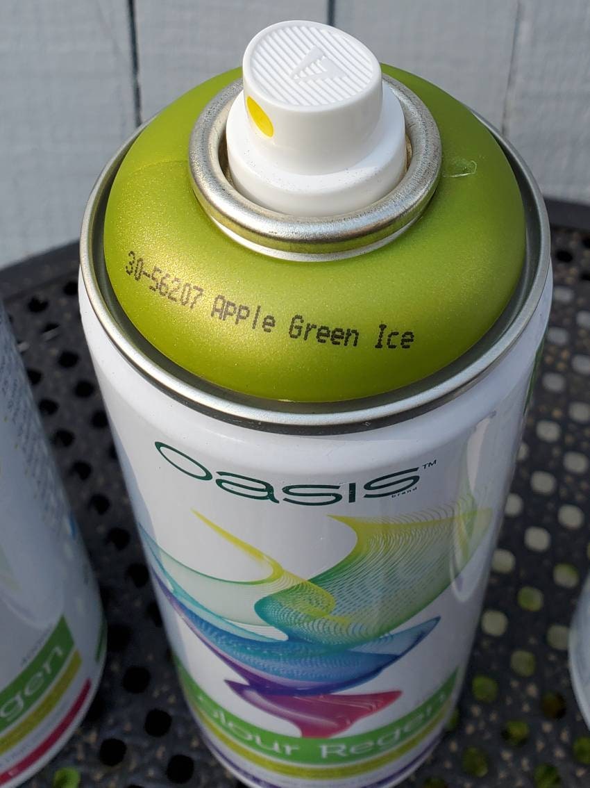 Oasis Colour Regen Spray Paint 12 Oz Can~ Floral Paint Supplies - Etsy