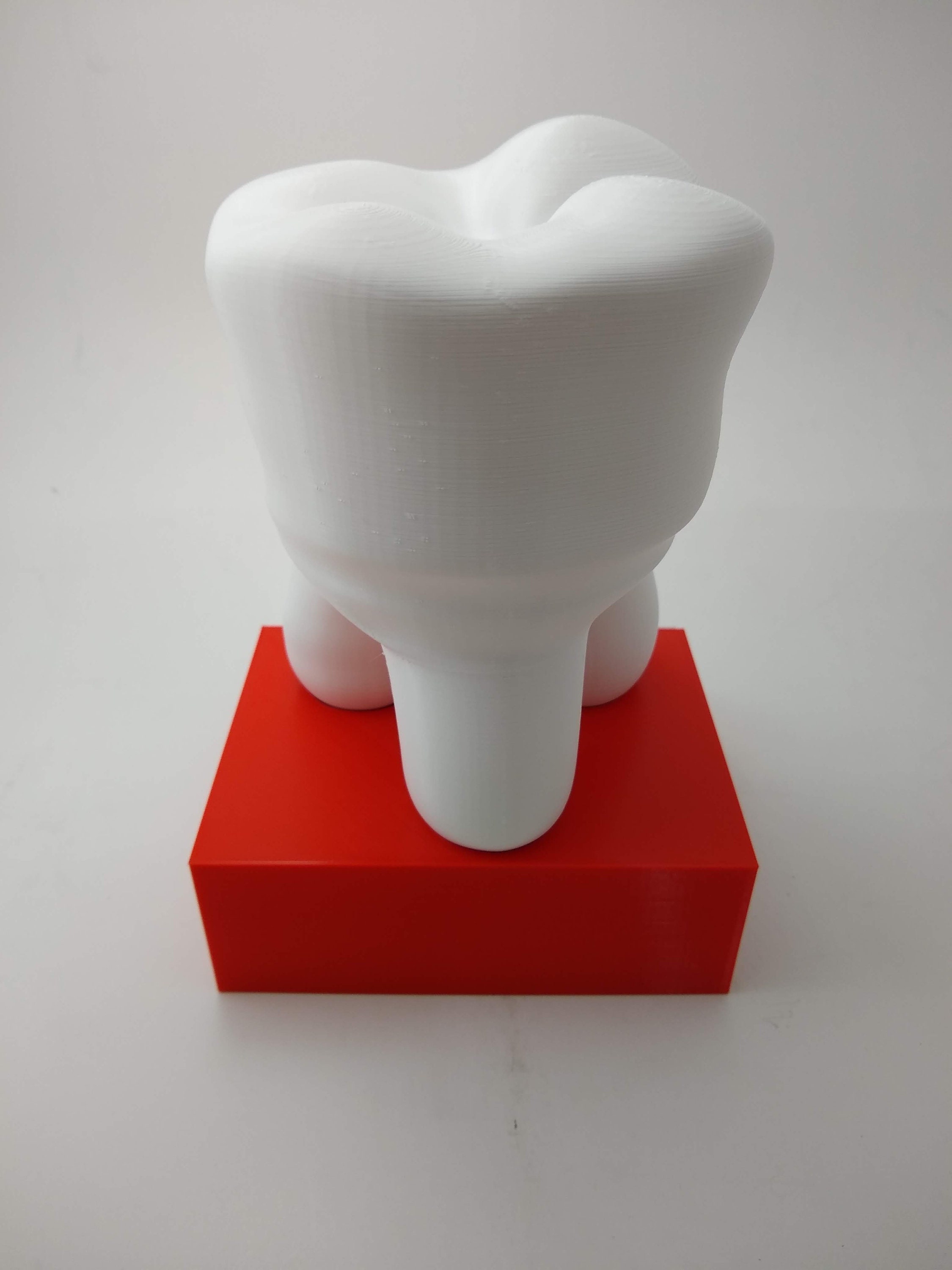 Custom Tooth Fairy Trophy - Etsy
