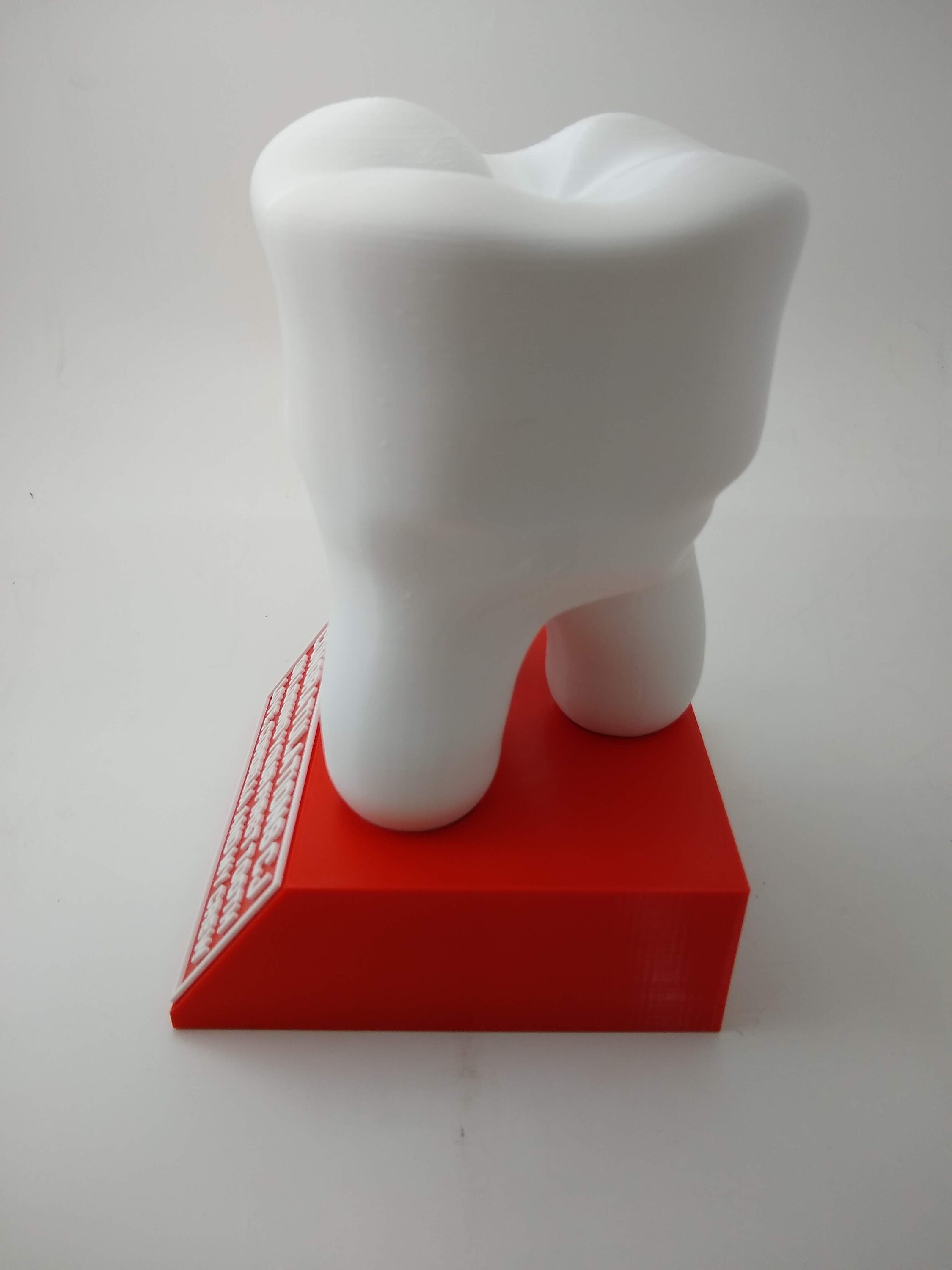 Custom Tooth Fairy Trophy - Etsy