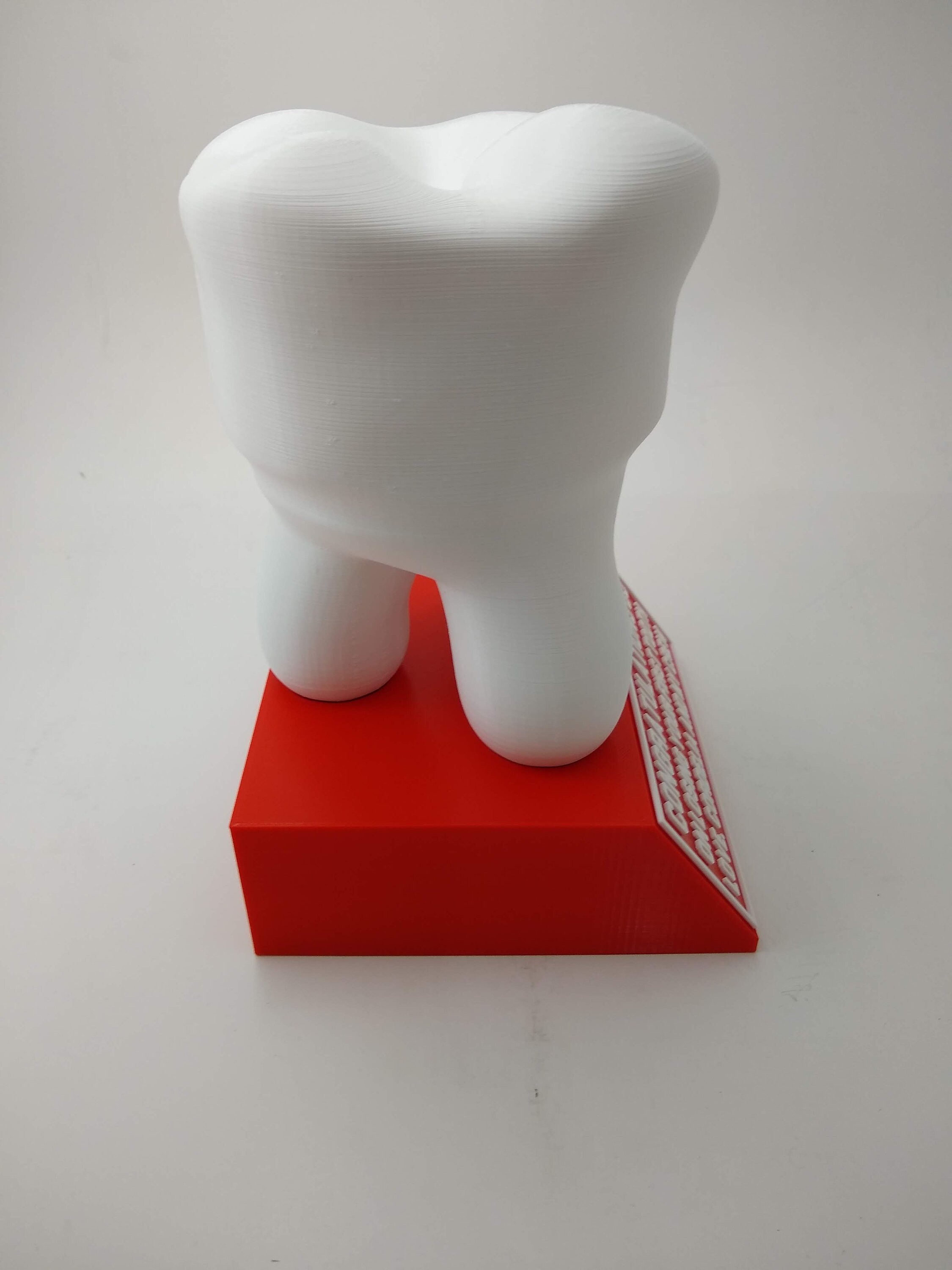 Custom Tooth Fairy Trophy - Etsy