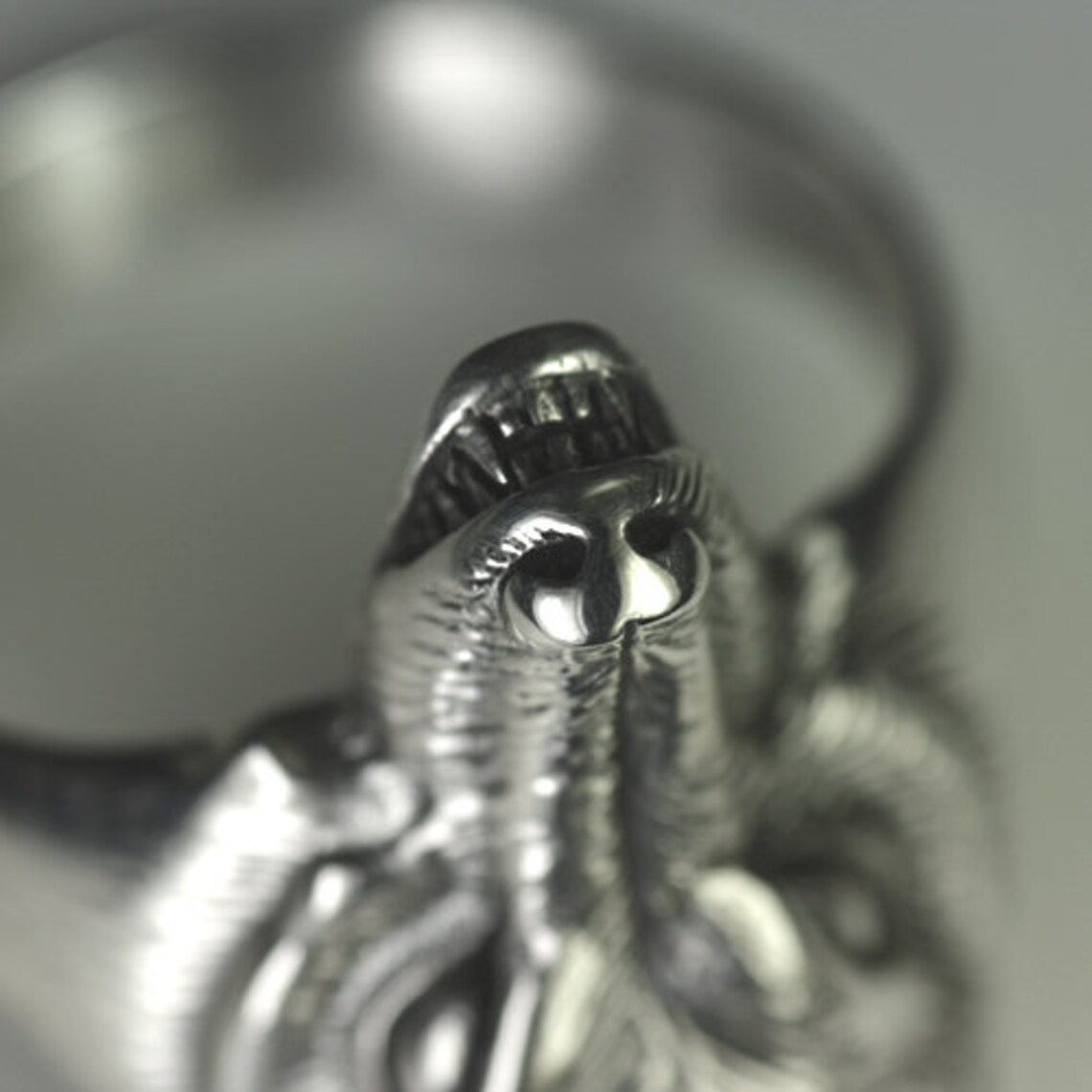 Men's Wolf Ring in Sterling Silver 925 Any Ring Size 8 9 10 11 12 13 14 ...