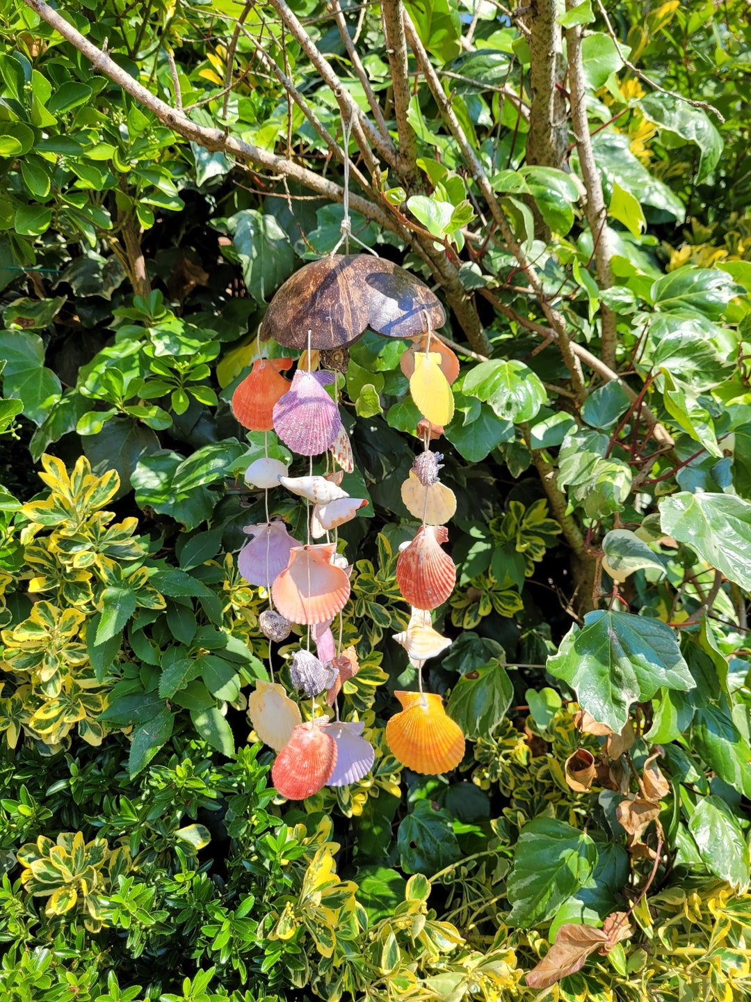 Scallop Shell Windchime - Mobile - Scalloped Coconut Shell - Very ...