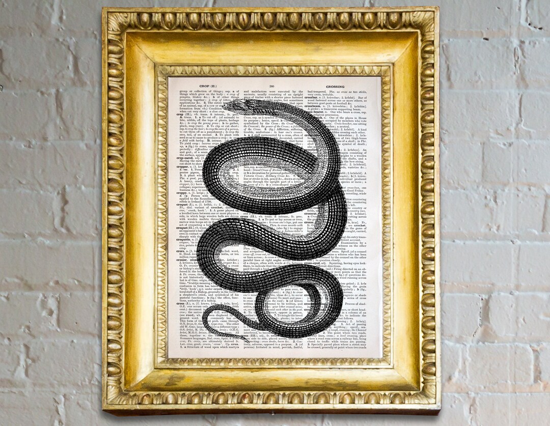 Snake 2 - Art Poster, Gift, Literary Poster Gift, Reptiles, Animal ...
