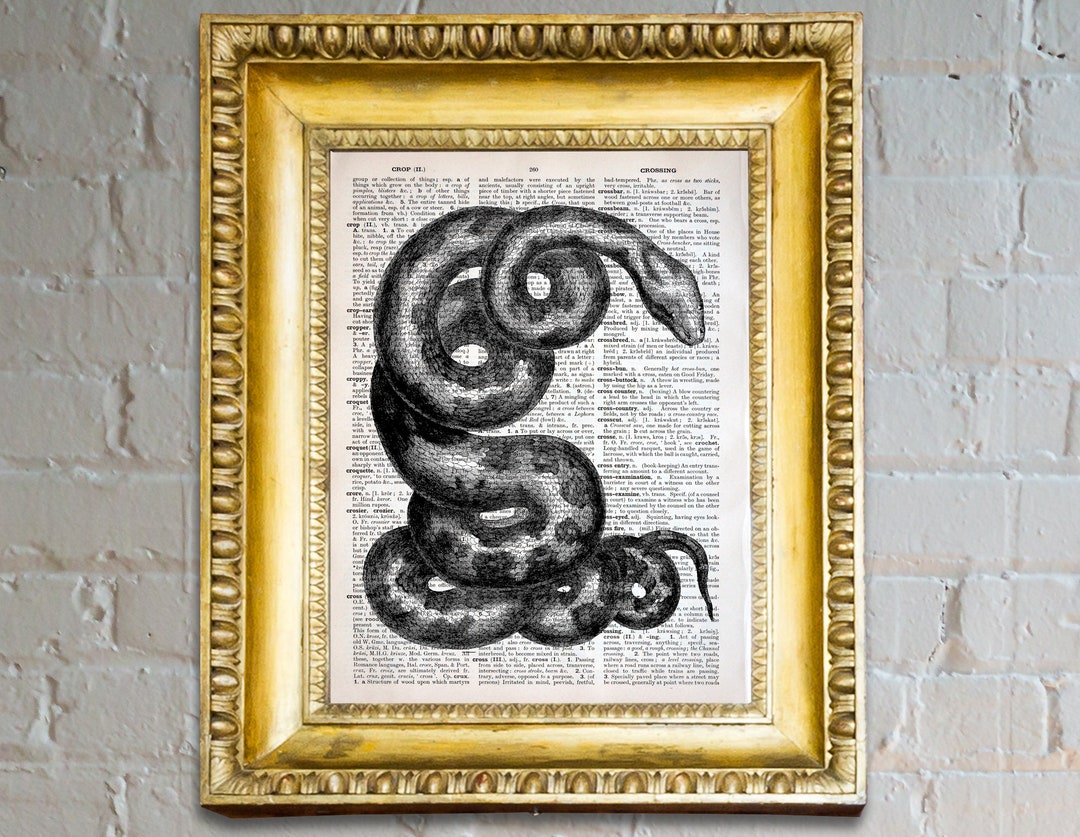 Snake 1 - Art Poster, Gift, Literary Poster Gift, Reptiles, Animal ...
