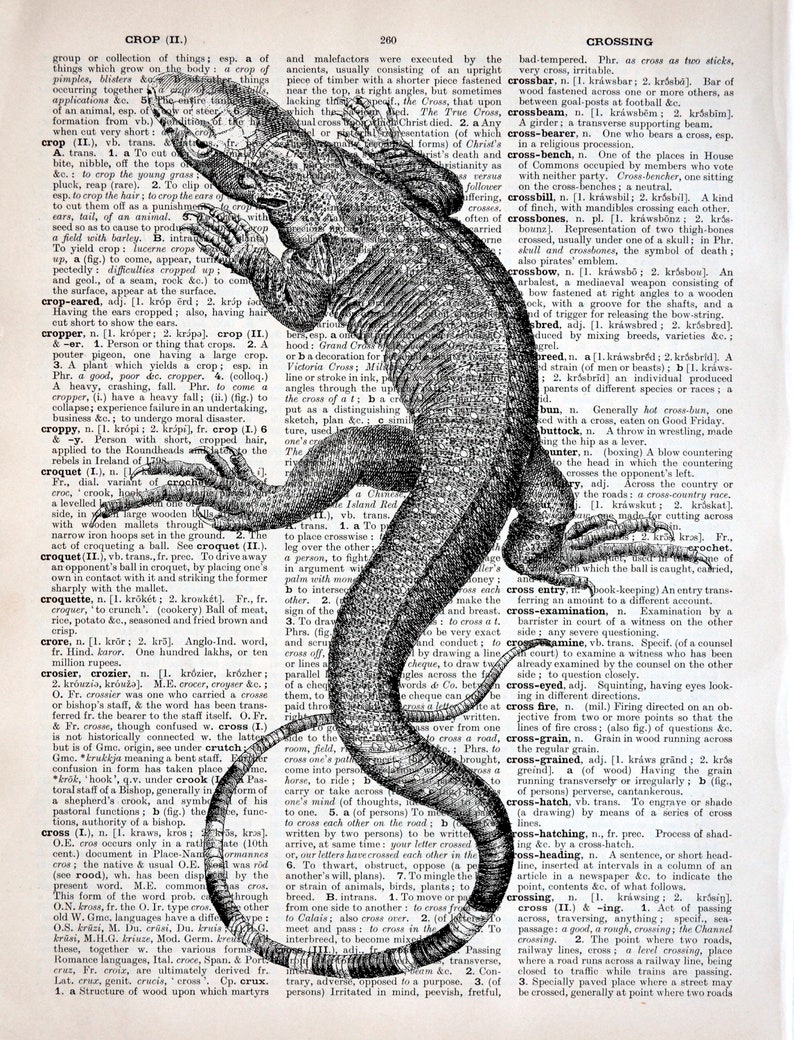 Crawling Lizard 1 Art Poster Gift Literary Poster Gift | Etsy