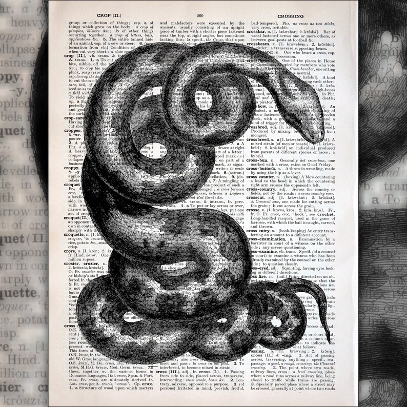 Snake 1 Art Poster, Gift, Literary Poster Gift, Reptiles, Animal Print ...